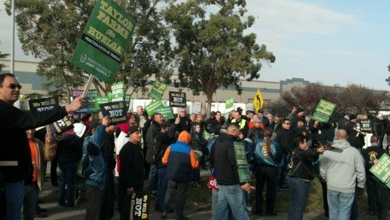 Teamsters & Fired Taylor Farms Workers Hold ULP Strike - International ...